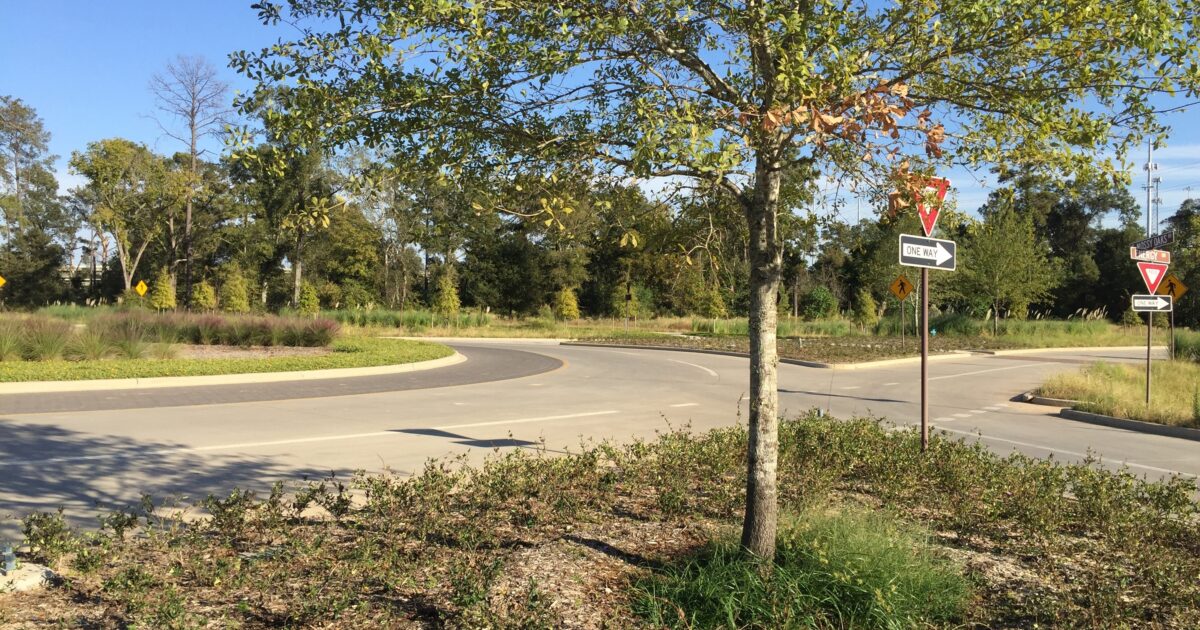 Energy Drive at Springwoods Village | Walter P Moore